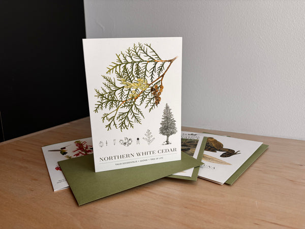GTRLC x Dani Knoph: Tree of Life notecard – Grand Traverse Regional ...
