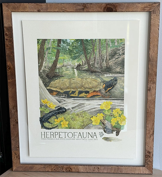 GTRLC x Dani Knoph: Herpetofauna (original) – Grand Traverse Regional ...